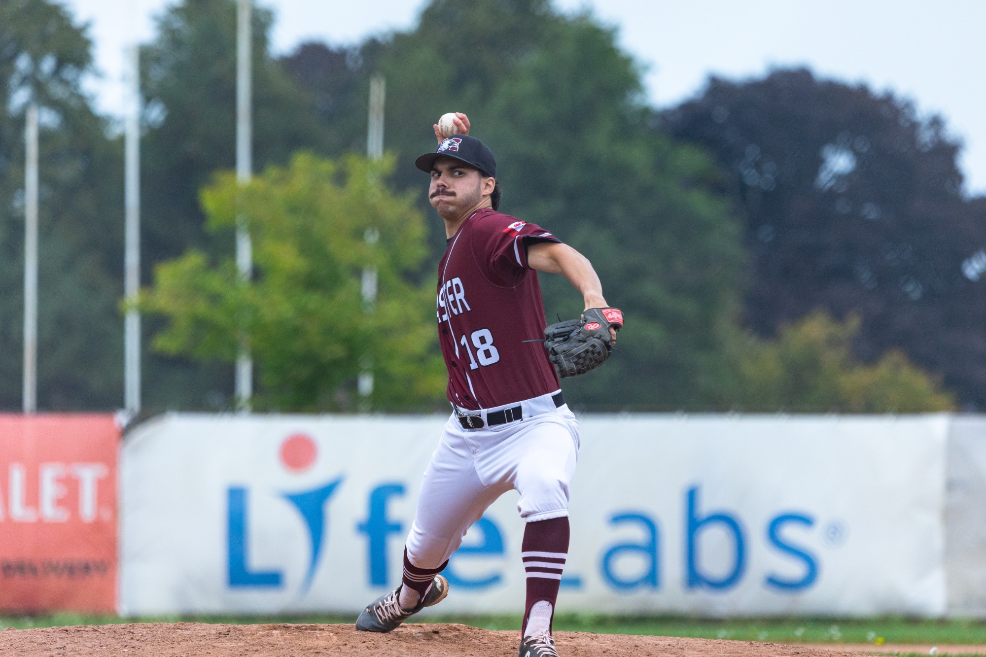 PREVIEW: Marauder baseball team set to host OUA West Regional this ...