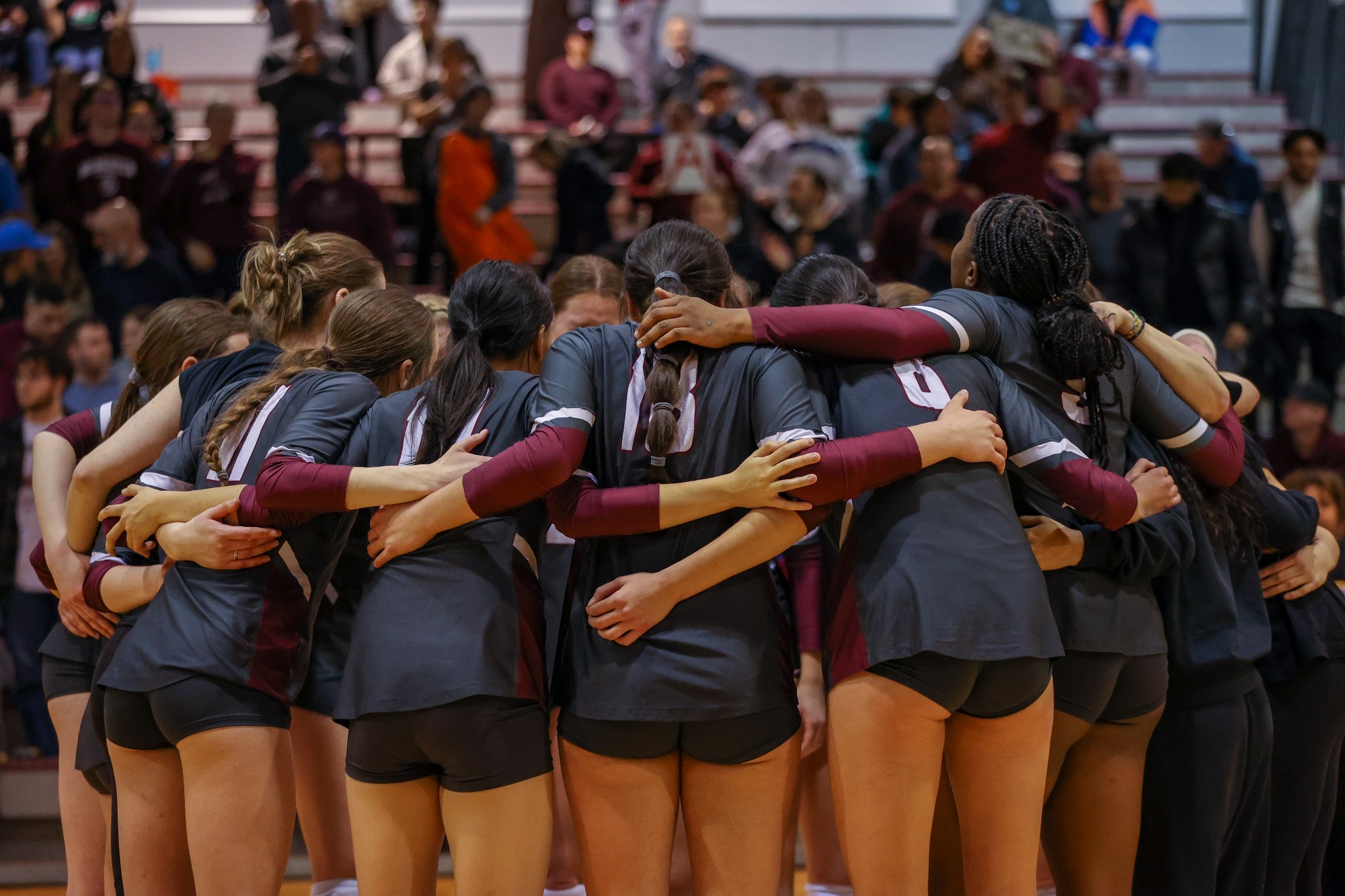 2023-24 Marauder Women's Volleyball Preview - McMaster University Athletics