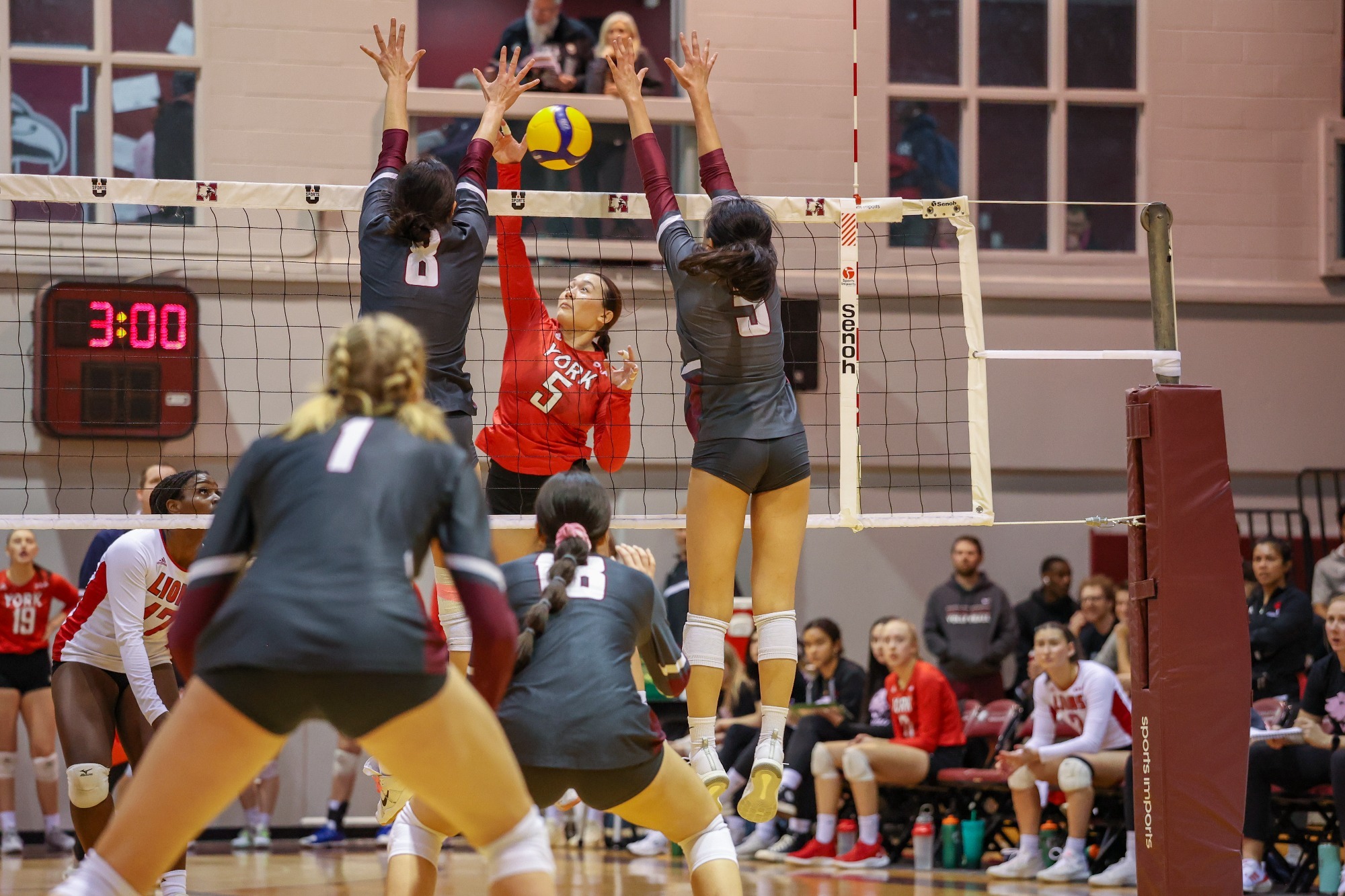 Marauders suffer heartbreaking loss to Lions - McMaster University ...