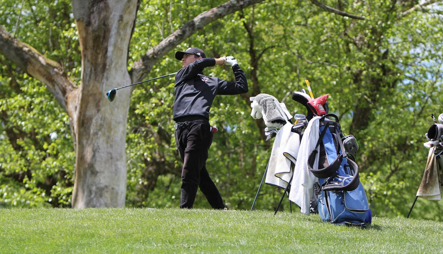 Lane Roye - Men's Golf - McMurry University Athletics