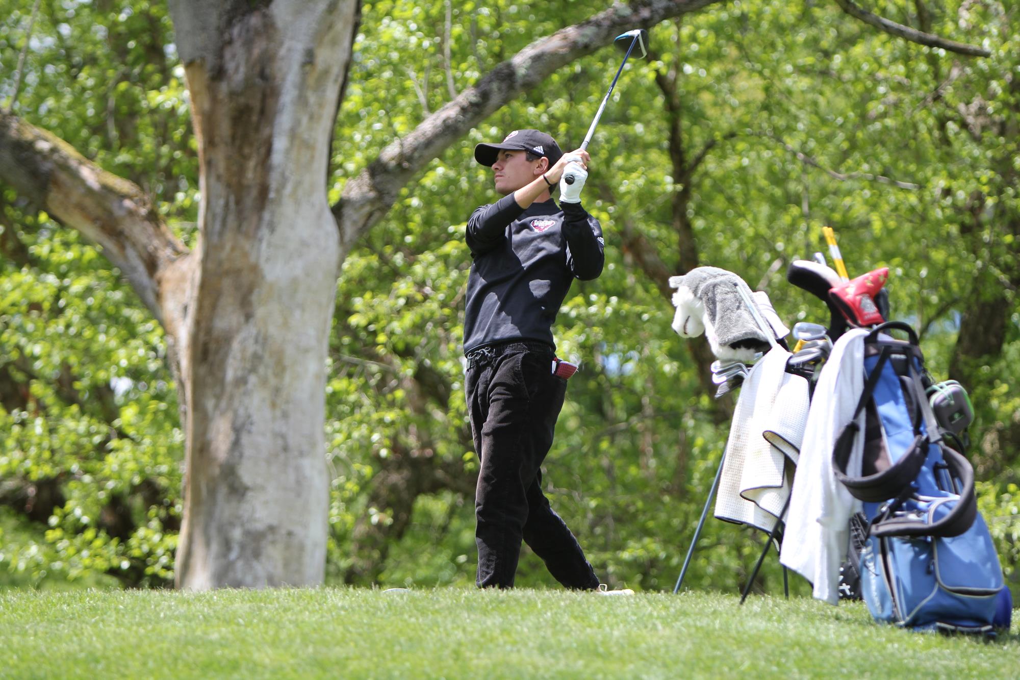 Lane Roye - Men's Golf - McMurry University Athletics