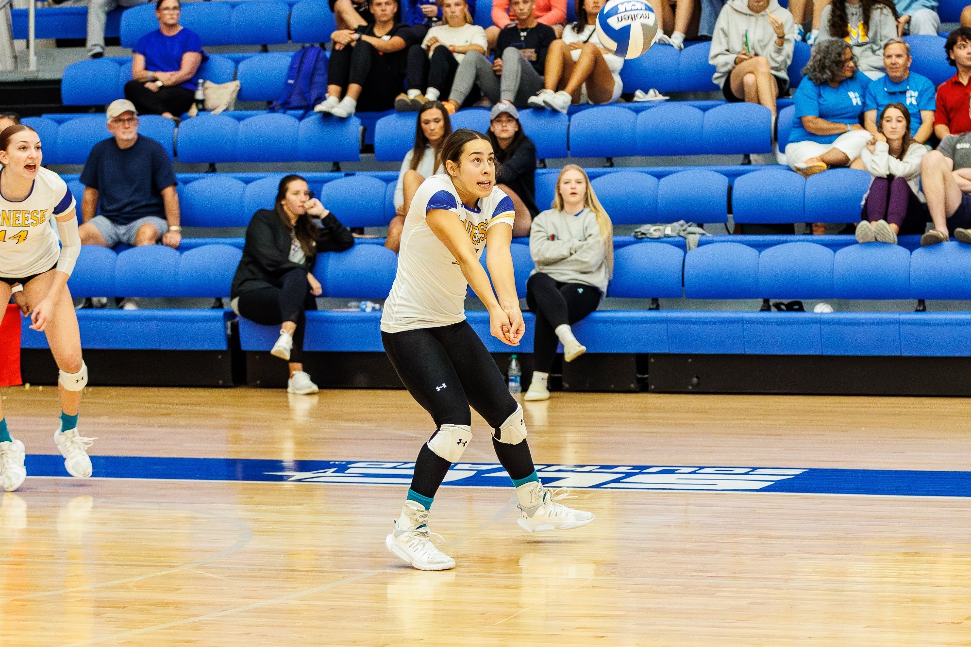 Carissa Chainey - 2023 - Women's Volleyball - McNeese State University ...