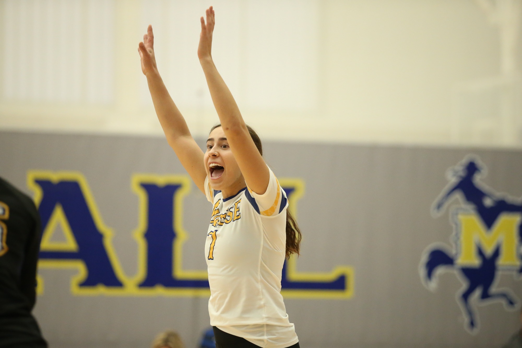 Carissa Chainey - 2023 - Women's Volleyball - McNeese State University ...