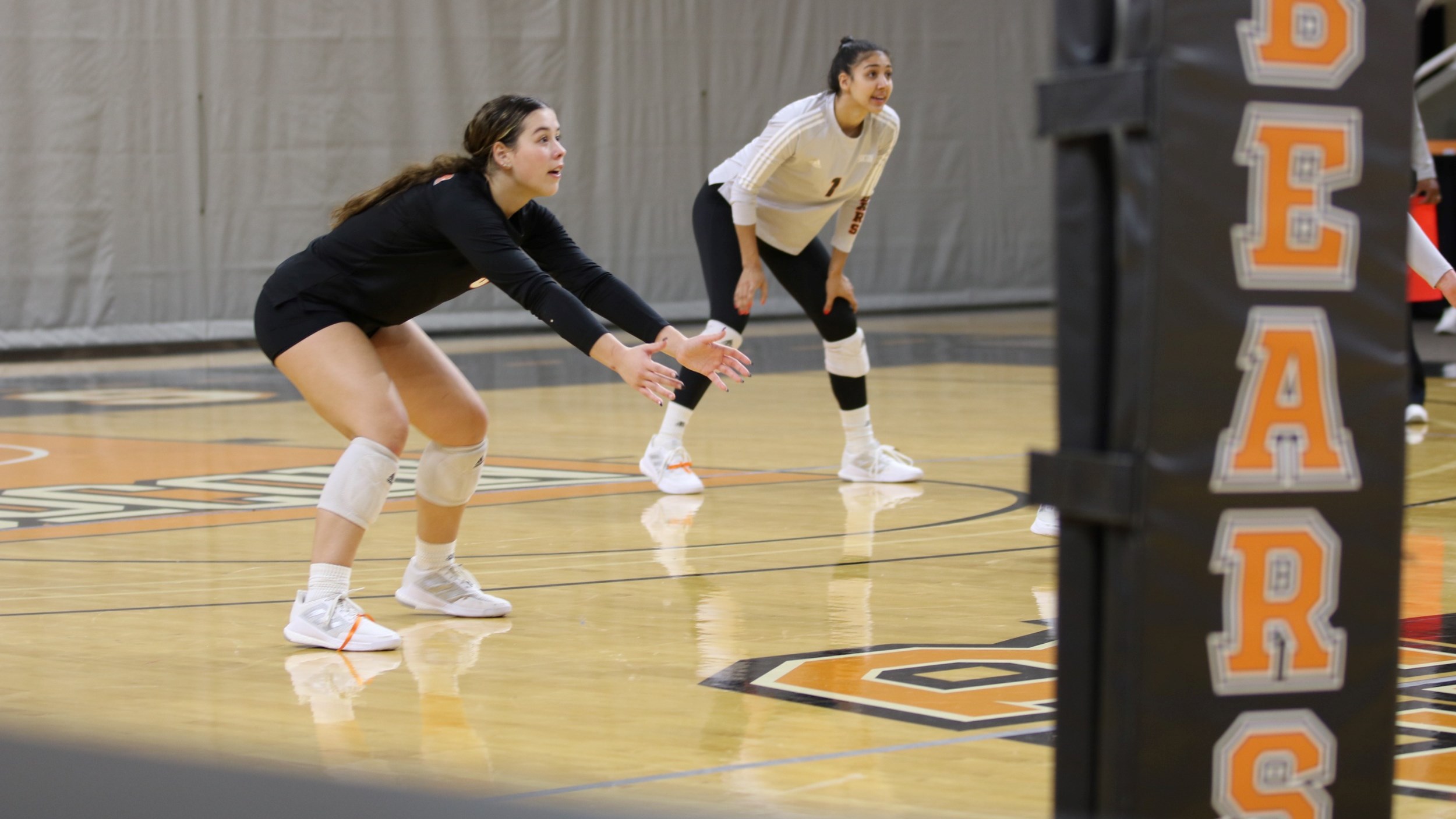 Abbey Havrilla - Volleyball - Mercer University Athletics