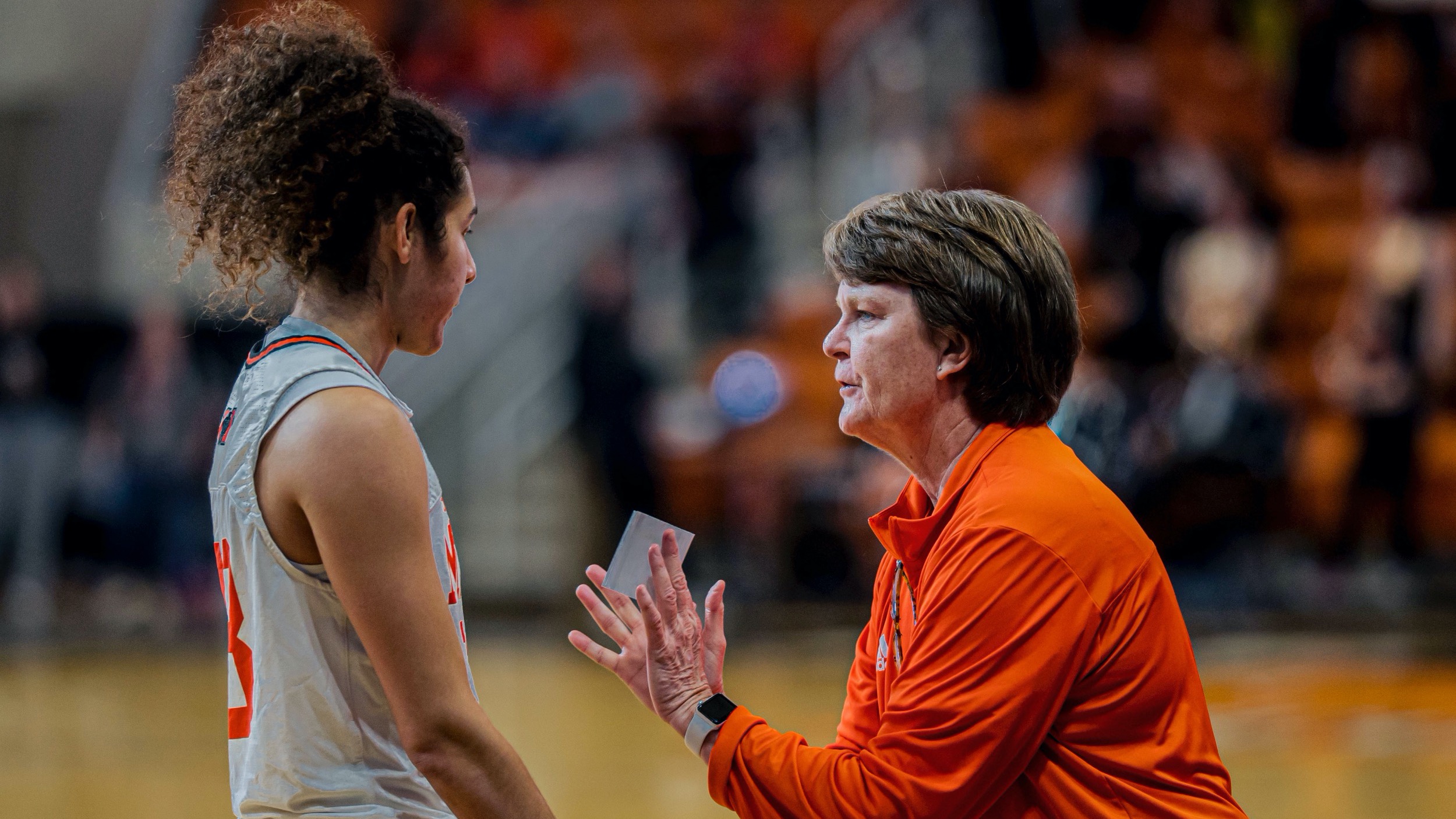 Dominant Defense carries Bears to 76-40 win over Western Carolina ...