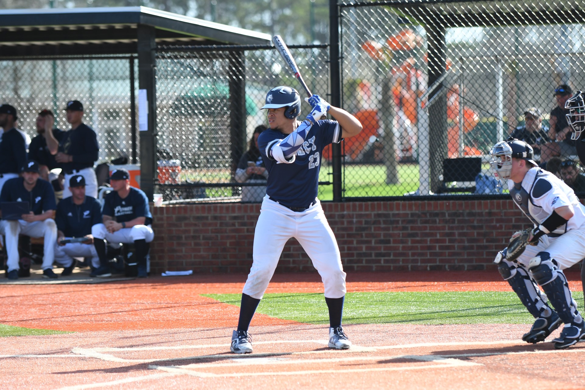Anthony Murphy - Baseball - Mercy University Athletics