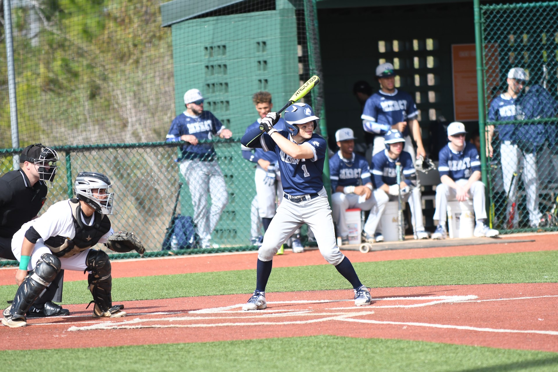 John Mooradian - Baseball - Mercy University Athletics