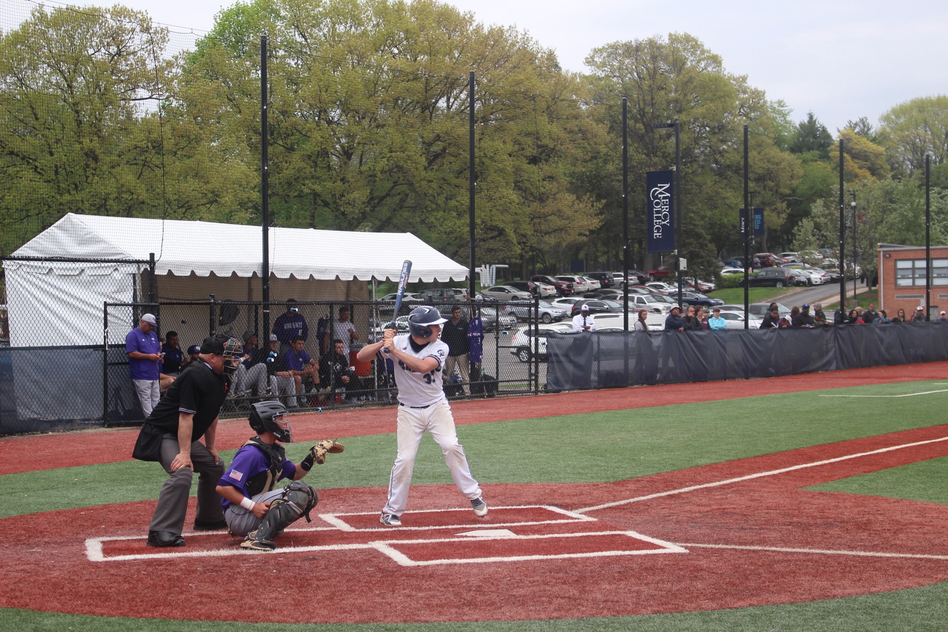 Nicholas Pellegrino - Baseball - Mercy University Athletics