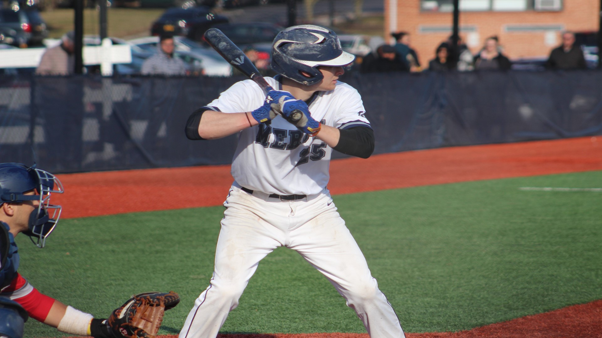 Ryan Saltzman - Baseball - Mercy University Athletics