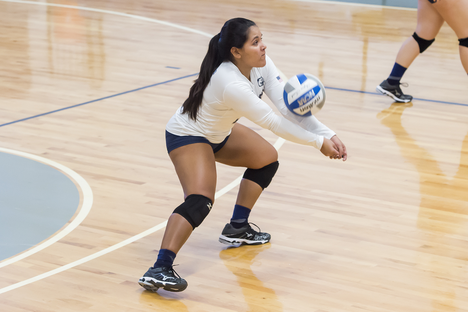 Garcia Records Triple-Double as Volleyball Splits With Bentley and AIC ...
