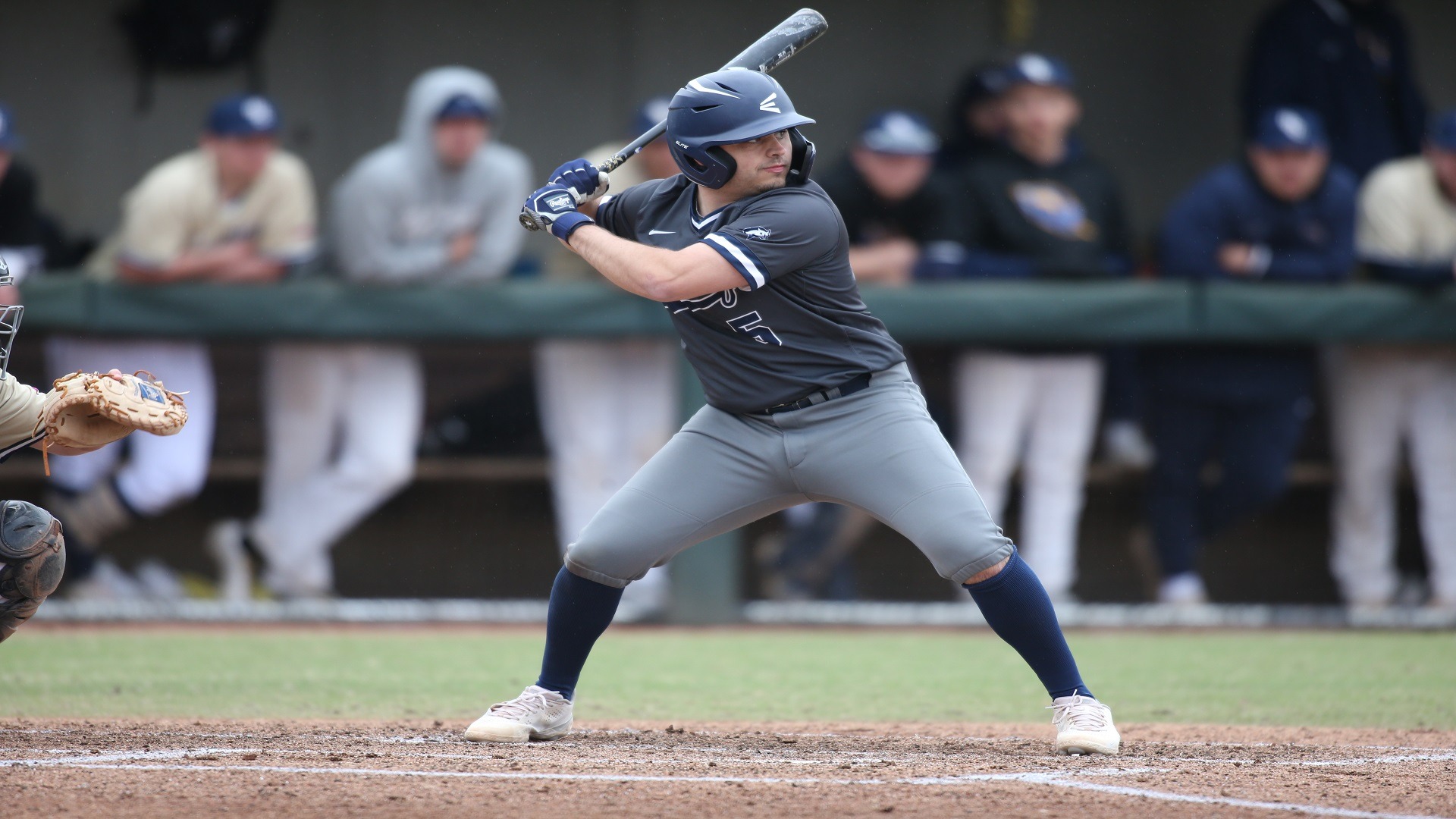 Glennerster Records Game-High Three RBI in Game One as Baseball Earns ...