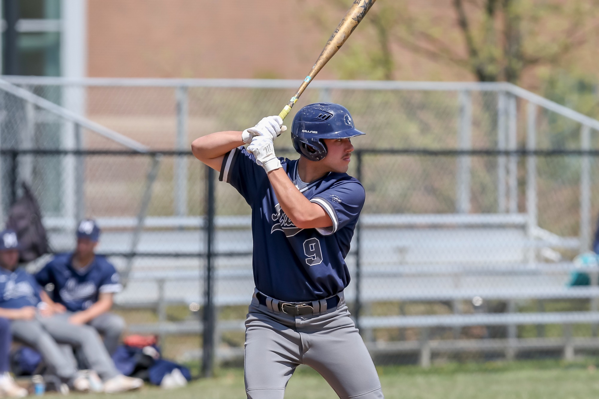 Giblin Sets School Record for Career Hits as Baseball Hosts STAC ...
