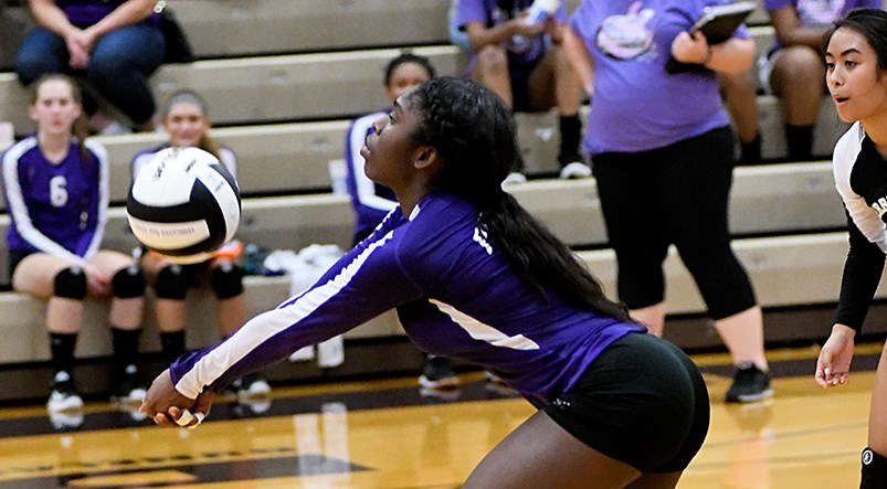 Raven Edwards - Volleyball - Merrillville High School Athletics
