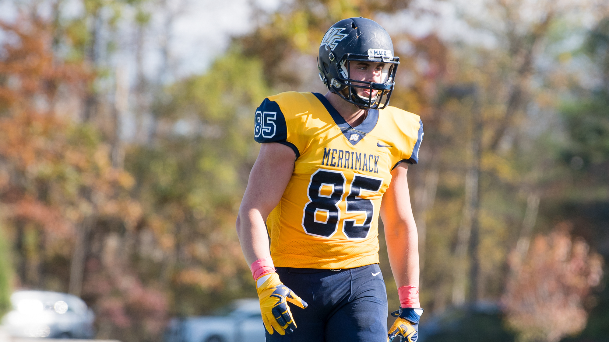 Dillon Salva - Football - Merrimack College Athletics