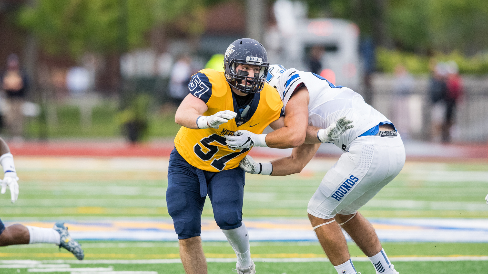 Troy Shallow - Football - Merrimack College Athletics