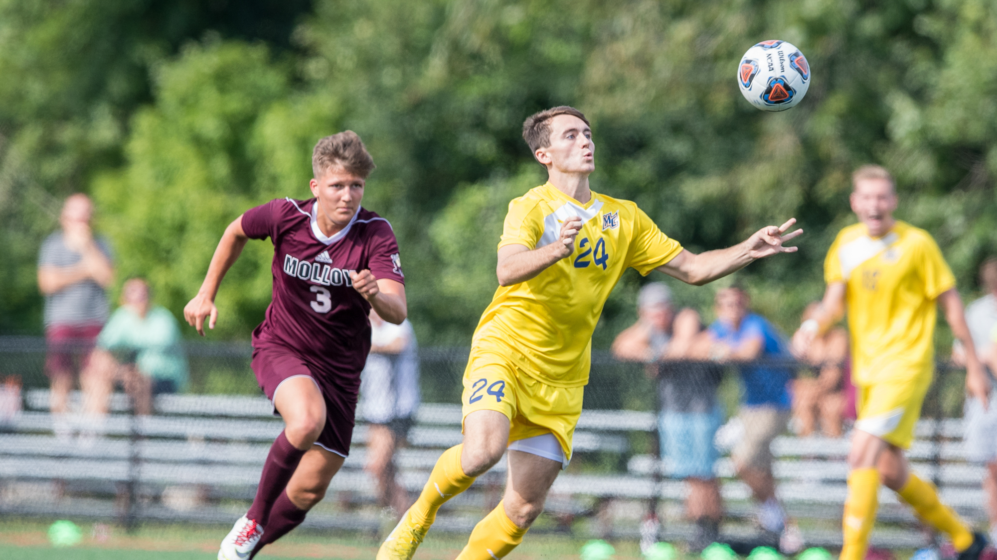 Nick Bernardi - Men's Soccer - Merrimack College Athletics