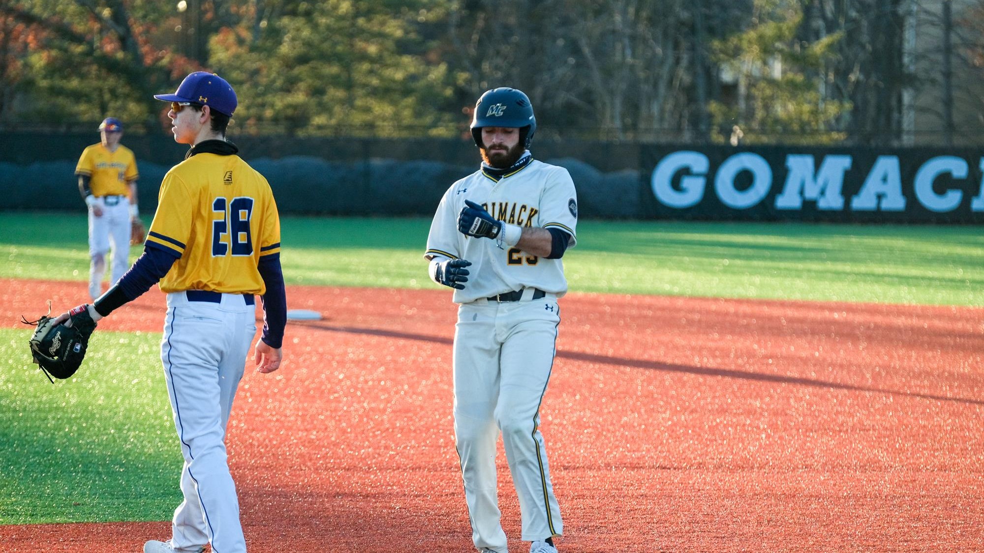 Baseball Wins First NEC Game vs. LIU, 11-5; Porricelli Sets New Program ...