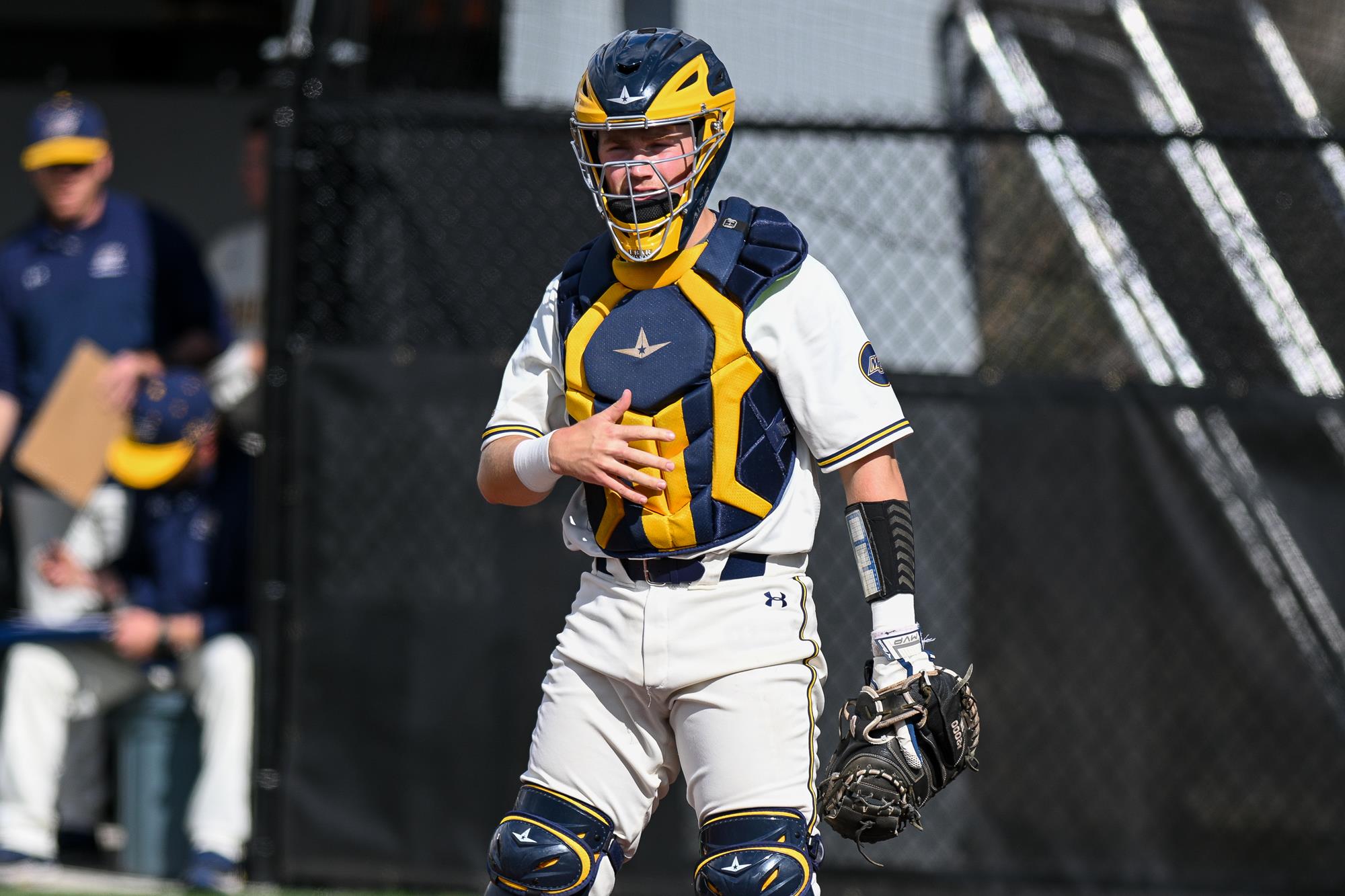 Baseball Stumbles in Series Opener vs. Long Island - Merrimack College ...