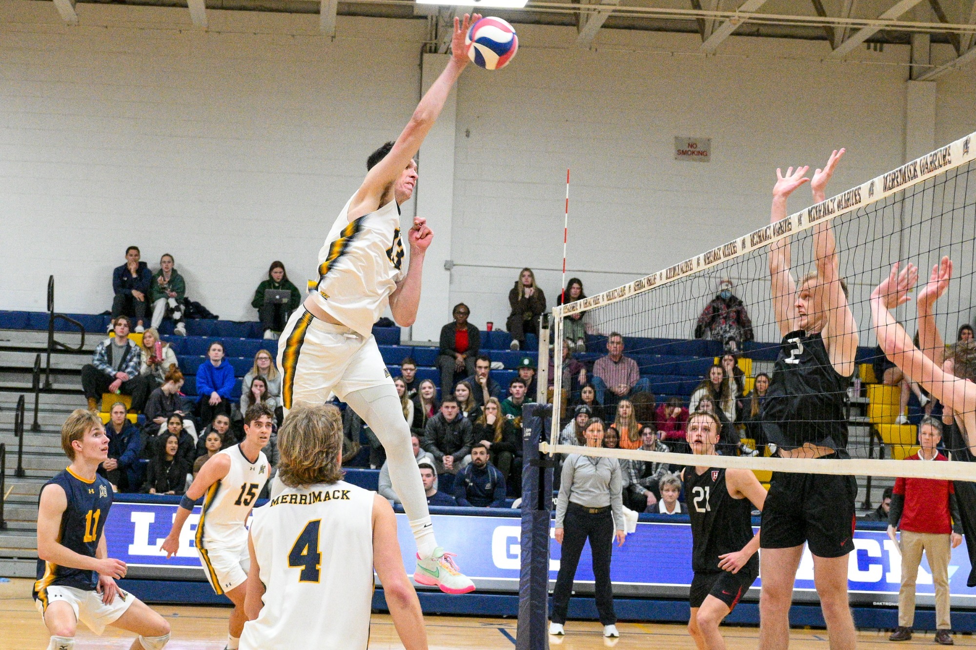 Men's Volleyball Wins First NEC Conference Game Against D'Youville ...
