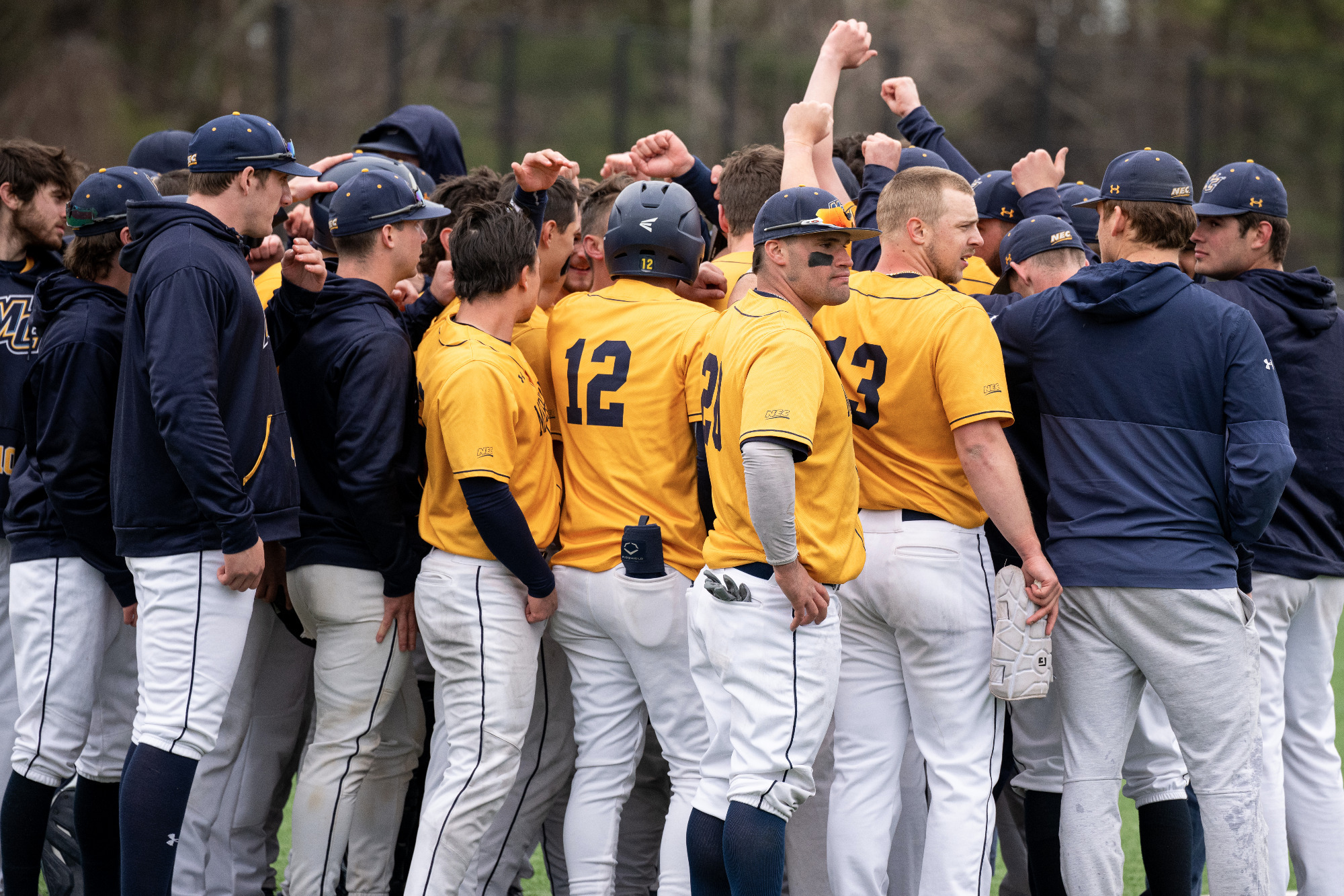Baseball Falls in Rubber Match to Wagner - Merrimack College Athletics