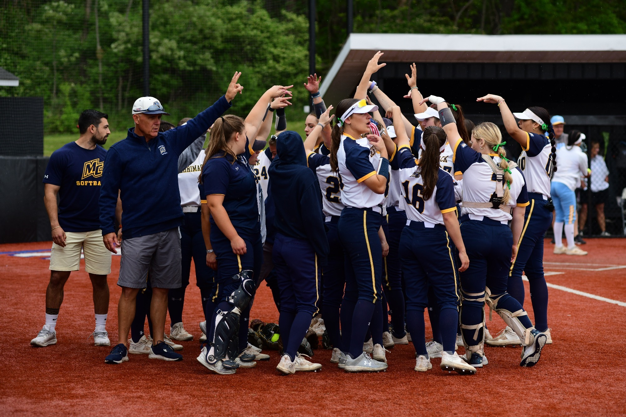 Softball Falls In NEC Softball Championship Game, Finishes Runner Up ...