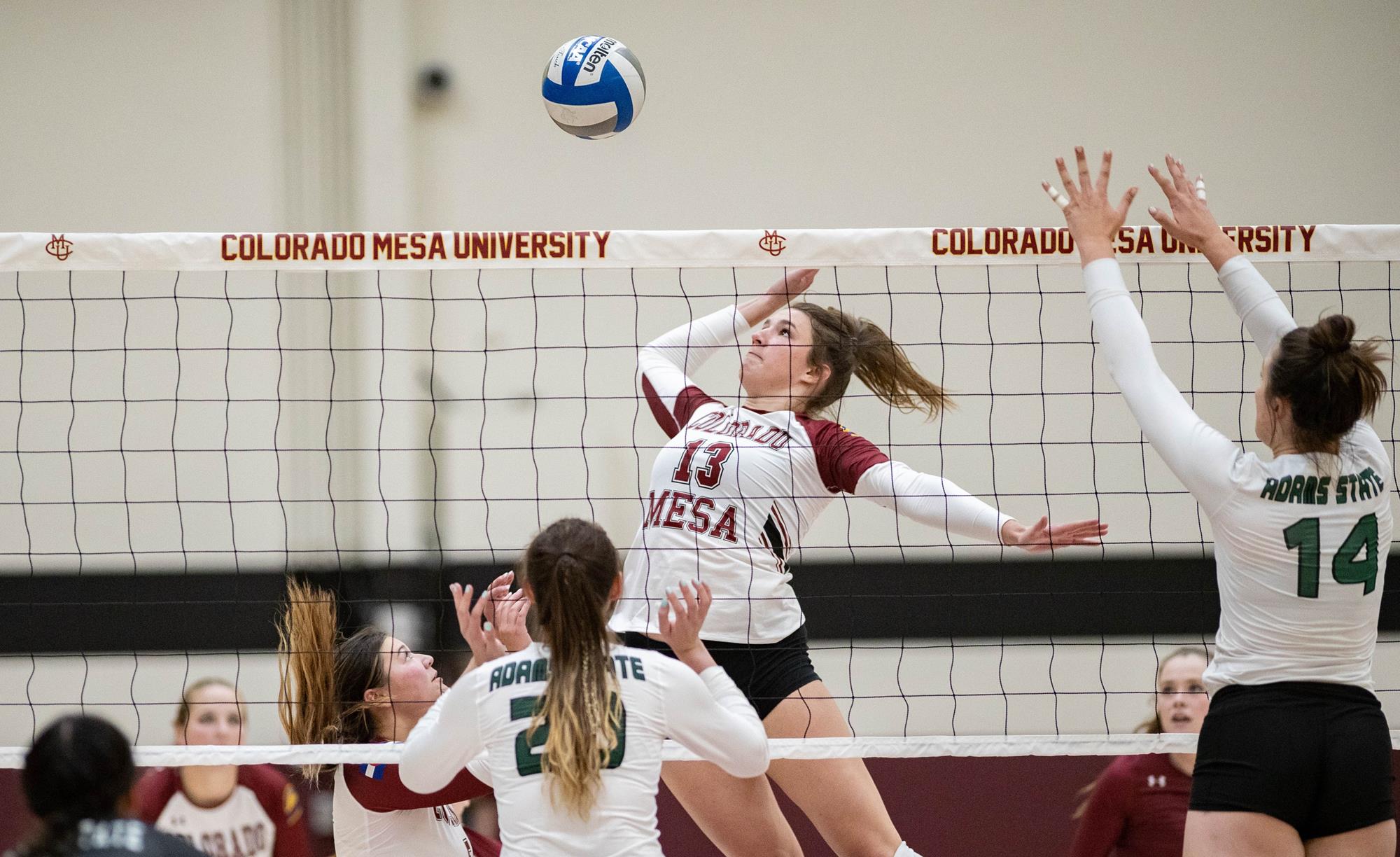 Savannah Spitzer - Women's Volleyball - Colorado Mesa University Athletics