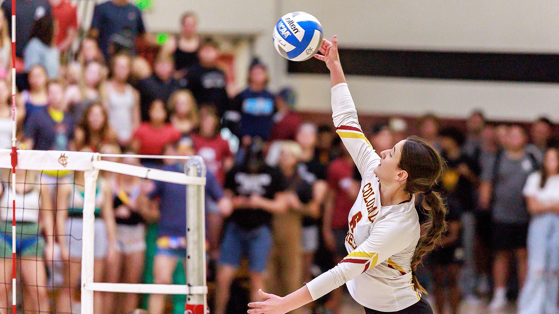 Riley Daugherty - Women's Volleyball - Colorado Mesa University Athletics