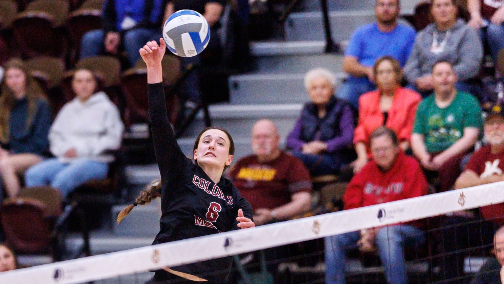 Riley Daugherty - Women's Volleyball - Colorado Mesa University Athletics