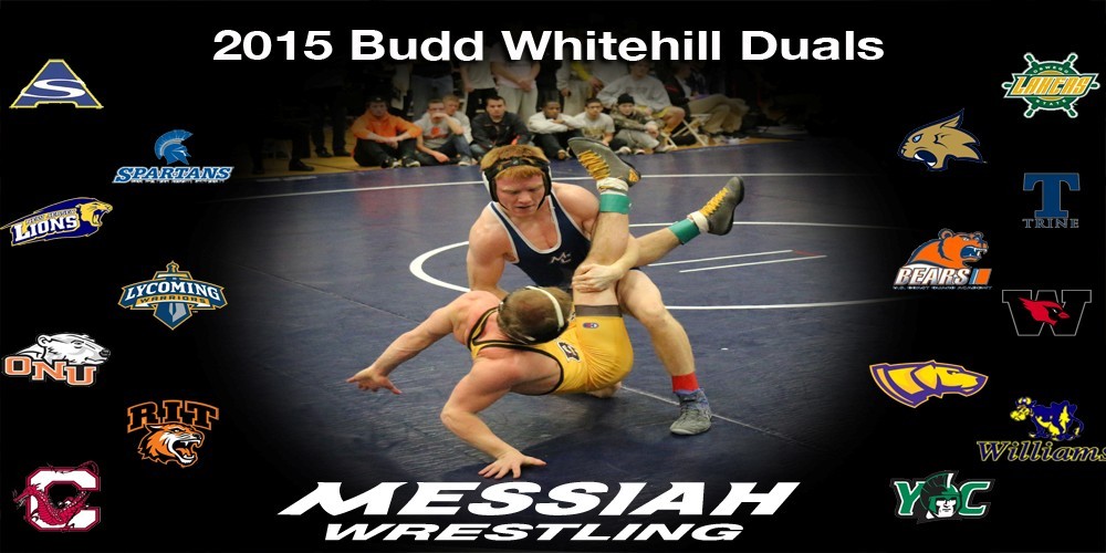 Lucas Malmberg - 2016-17 - Wrestling - Messiah University Athletics