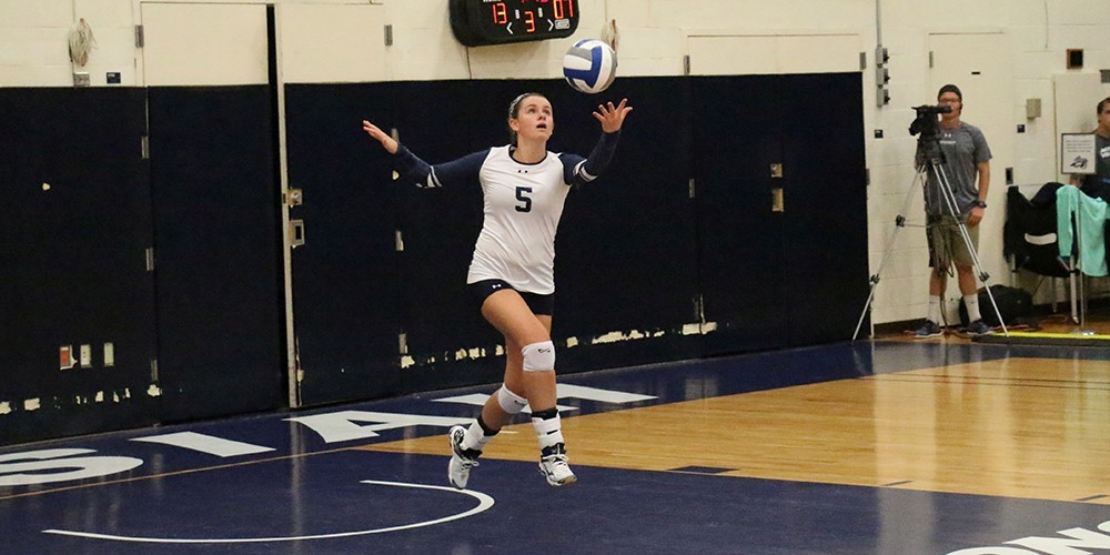 Brooke Gallagher - 2016 - Women's Volleyball - Messiah University Athletics