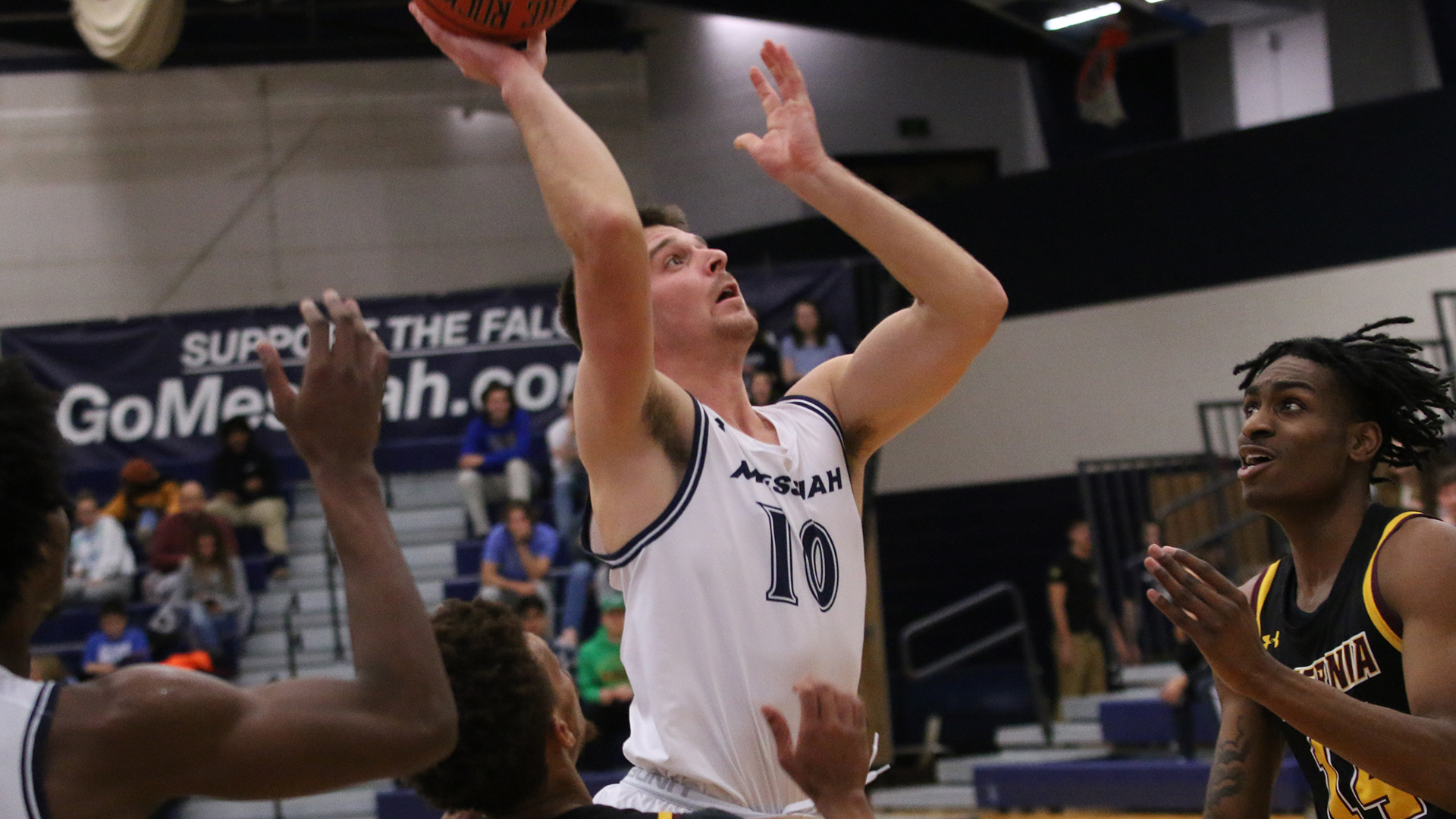 Kyle Krout - 2019-20 - Men's Basketball - Messiah University Athletics