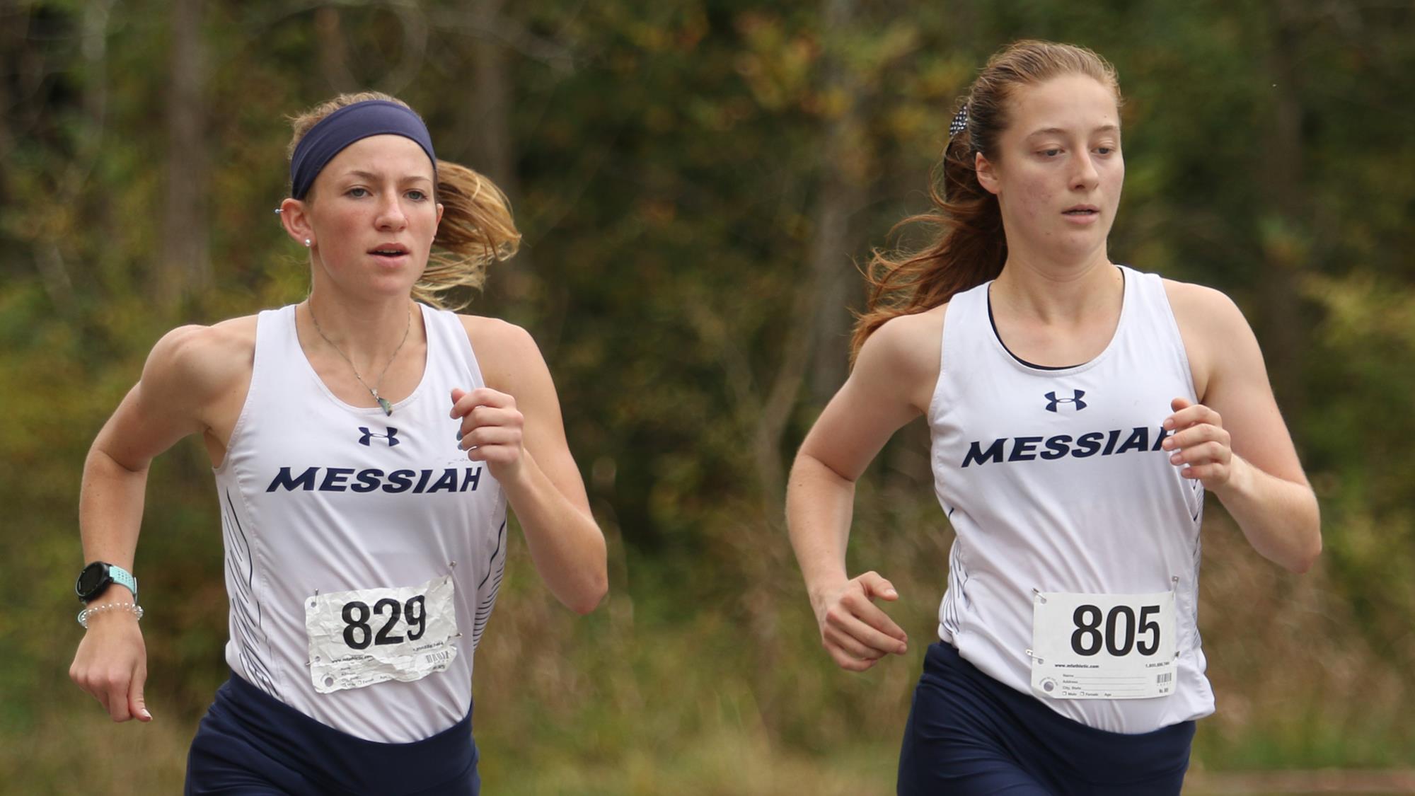 Sarah Codd - 2020 - Women's Cross Country - Messiah University Athletics