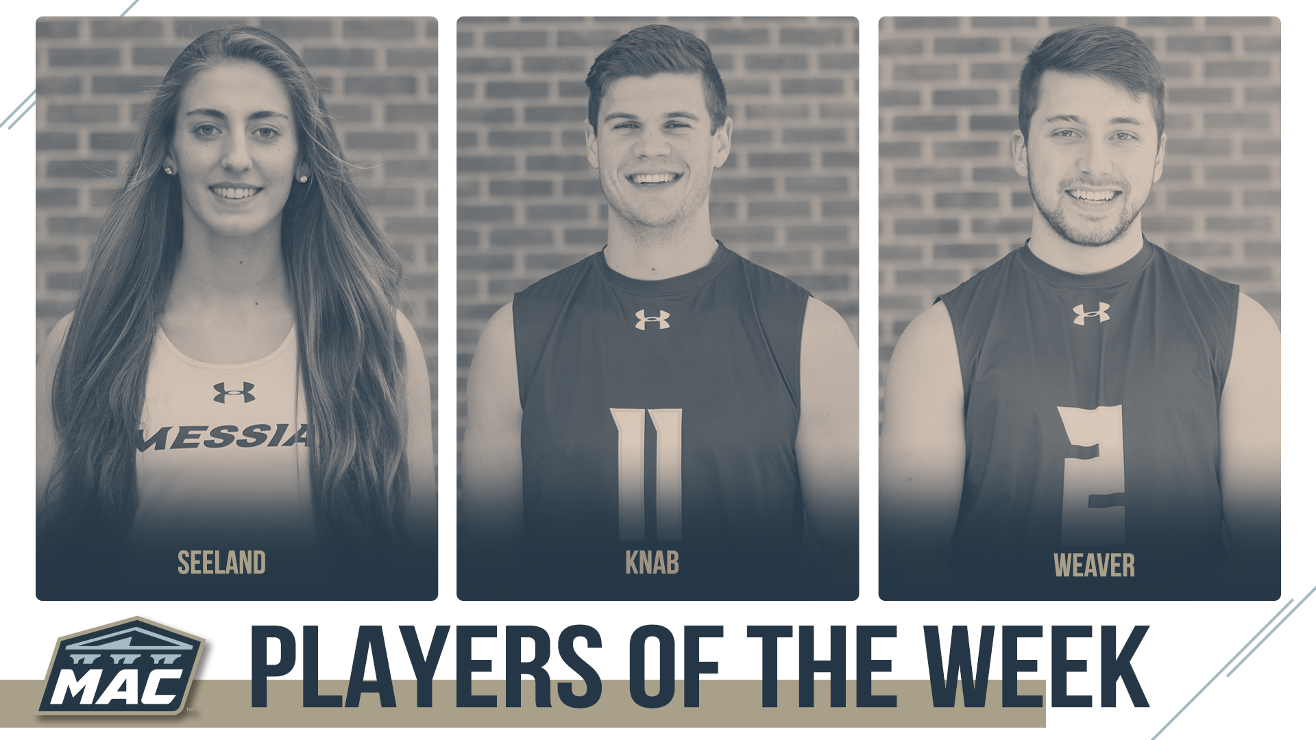 Caleb Weaver - 2020 - Men's Volleyball - Messiah University Athletics