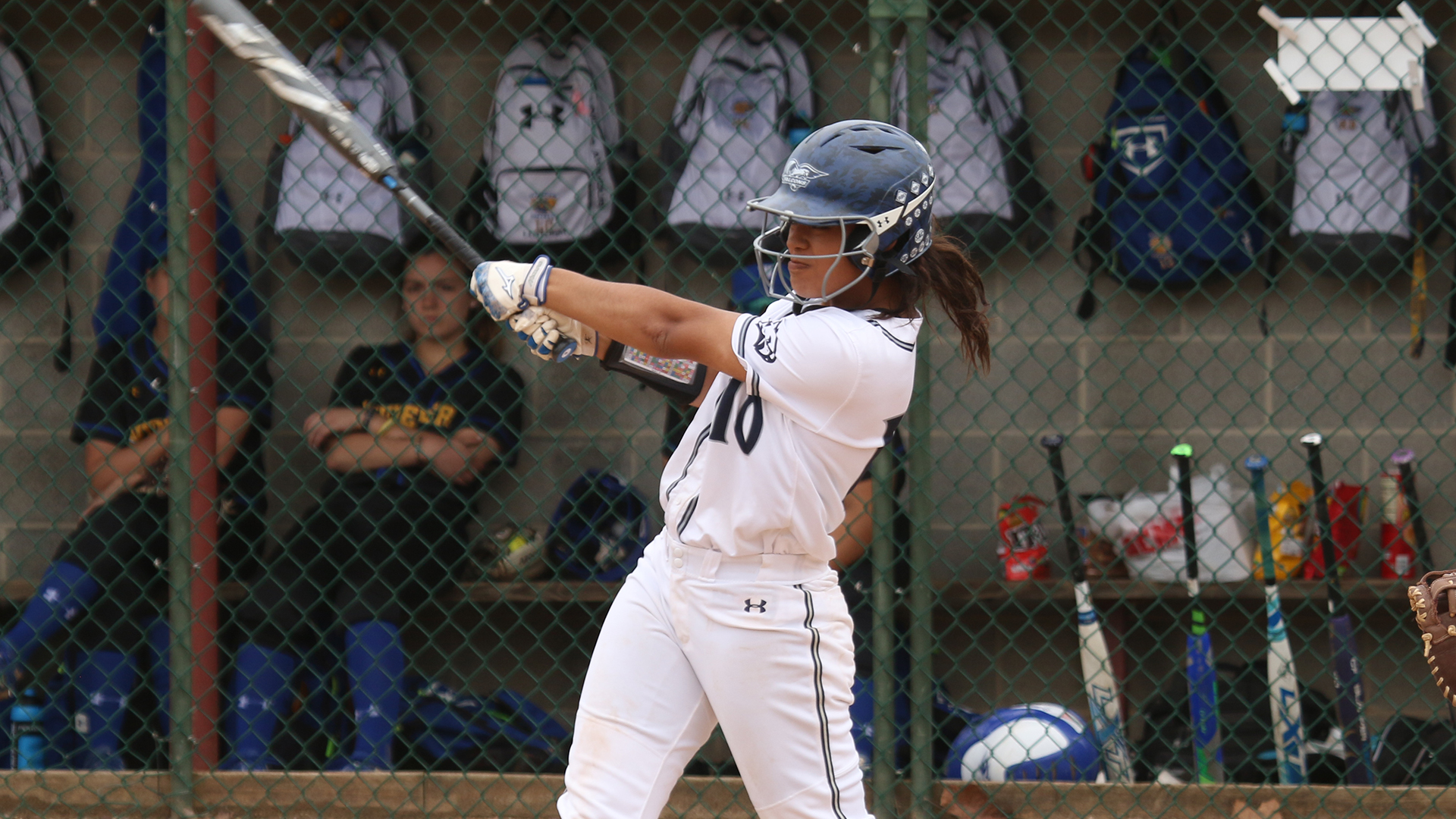 Timely Hitting Leads Falcons To Sweep Of Catholic - Messiah University ...