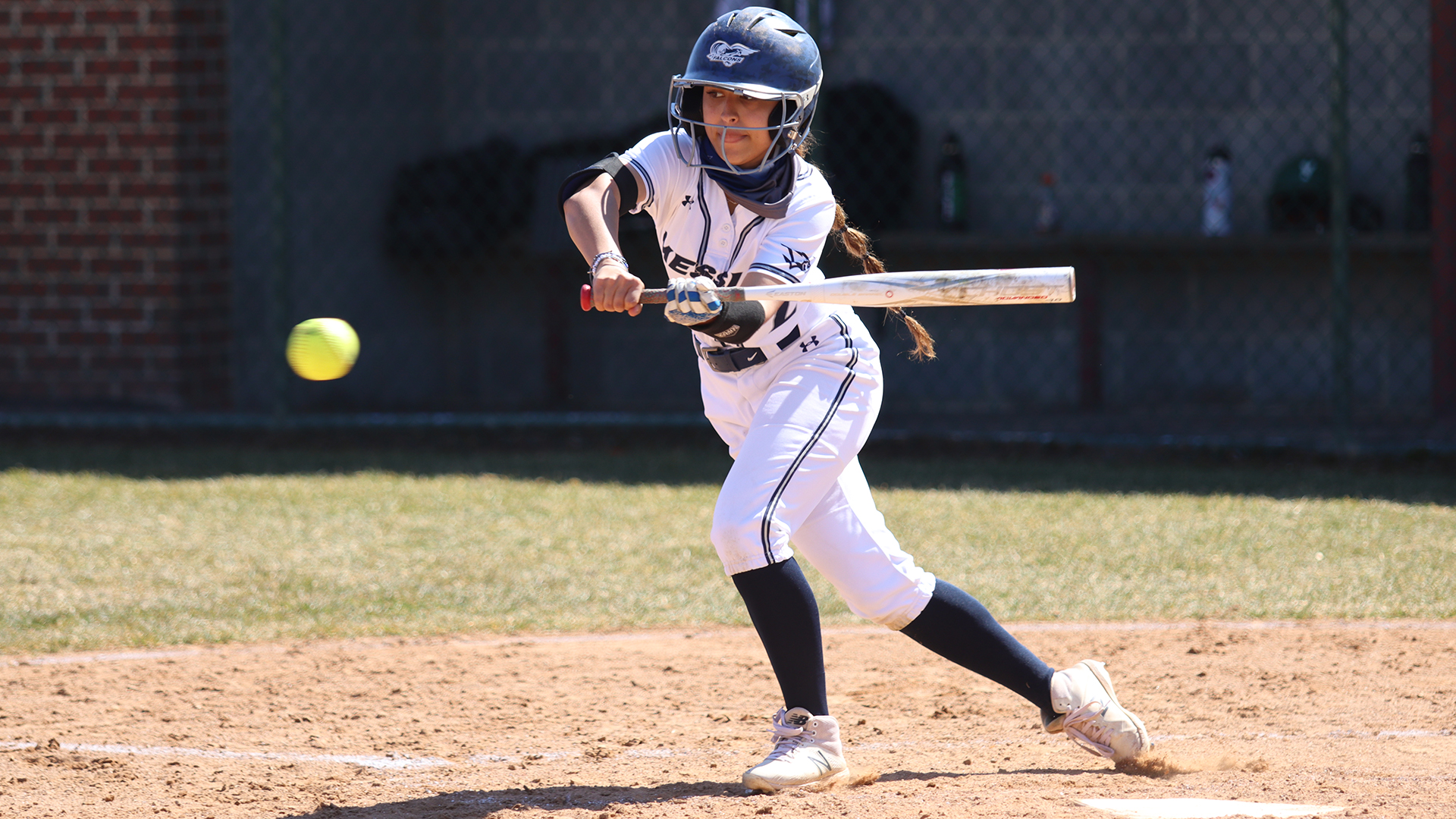 Sarah Lippin - 2024 - Softball - Messiah University Athletics