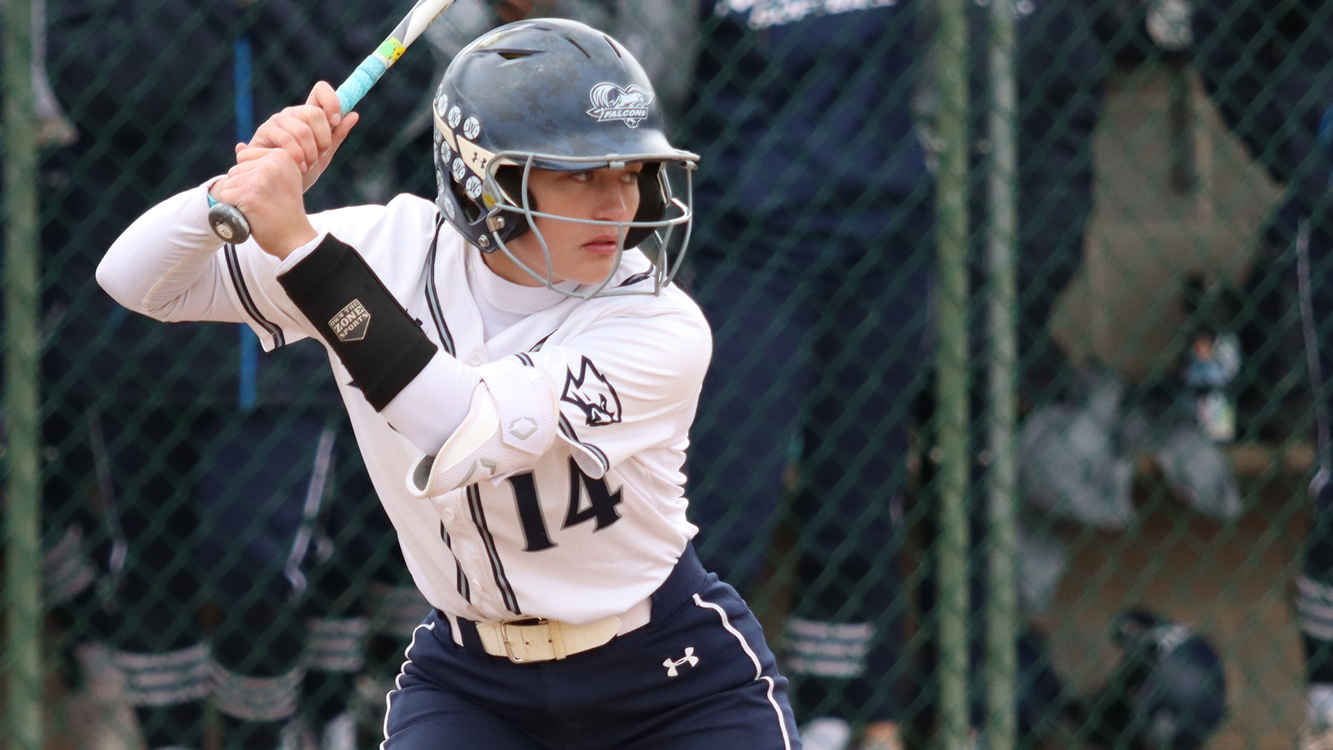 Softball Splits Doubleheader With Hood - Messiah University Athletics