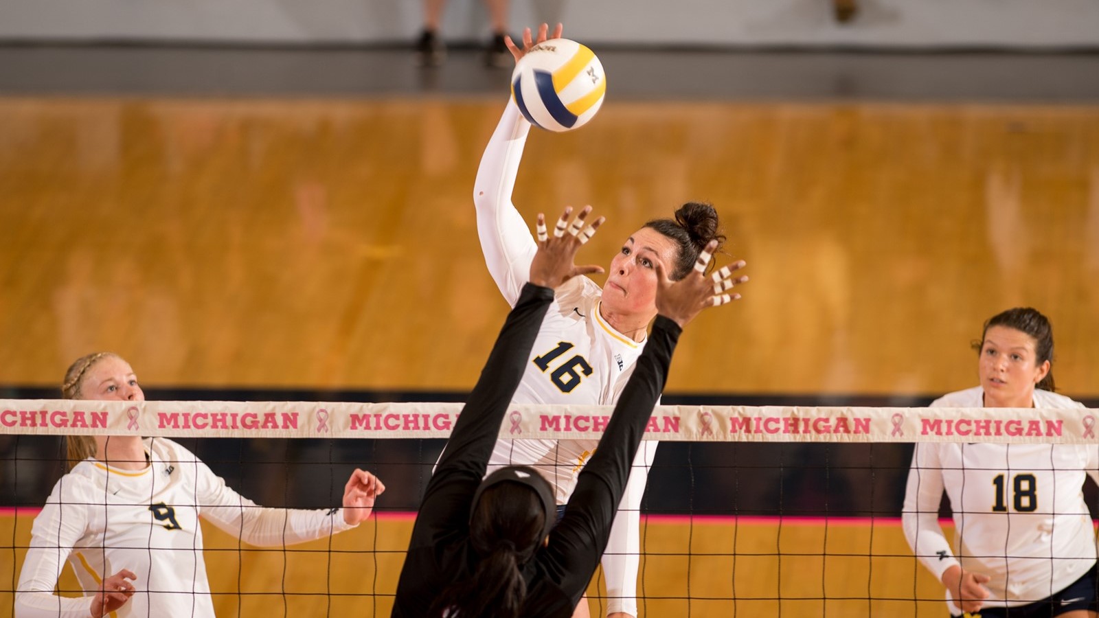 Cori Crocker - Volleyball - University of Michigan Athletics