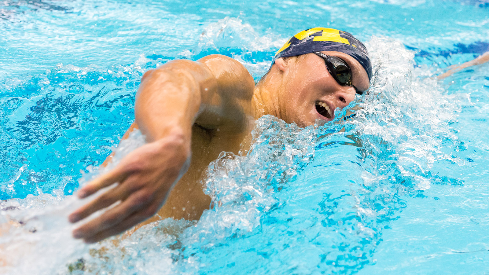 Stephen Holmquist - Men's Swimming & Diving - University of Michigan ...