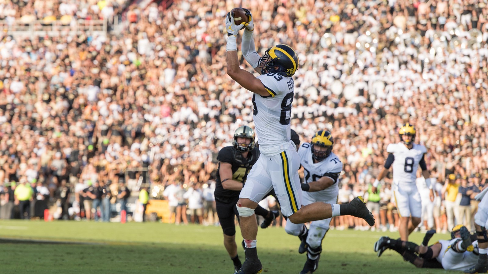 Zach Gentry - Football - University of Michigan Athletics