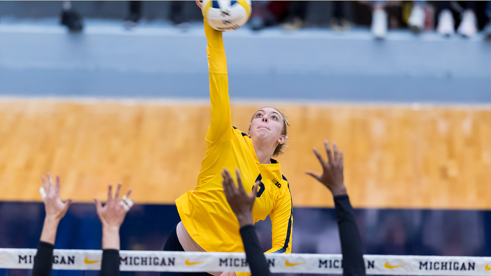 Jess Mruzik - Volleyball - University of Michigan Athletics