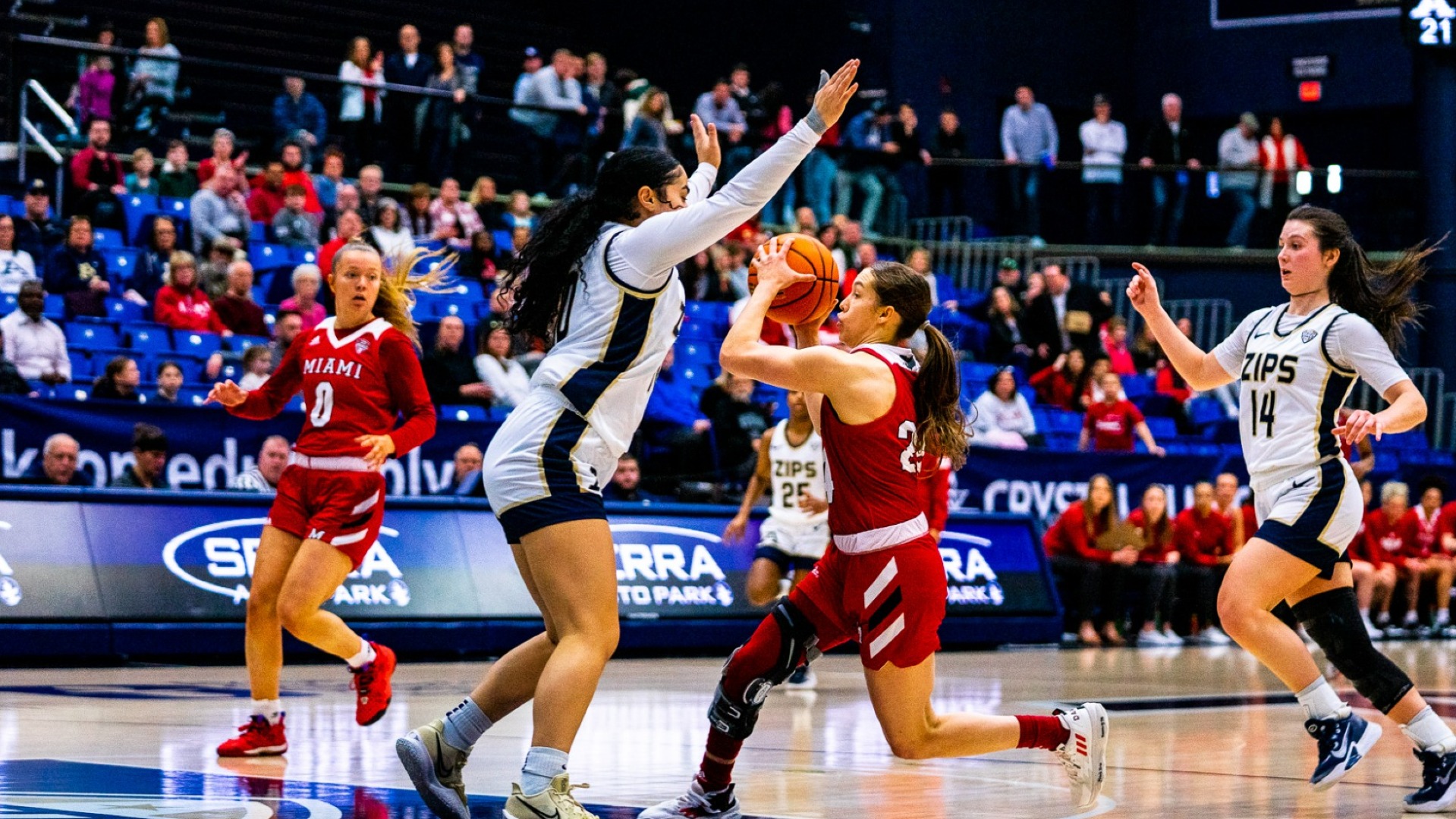 Peyton Scott - Women's Basketball - Miami University RedHawks