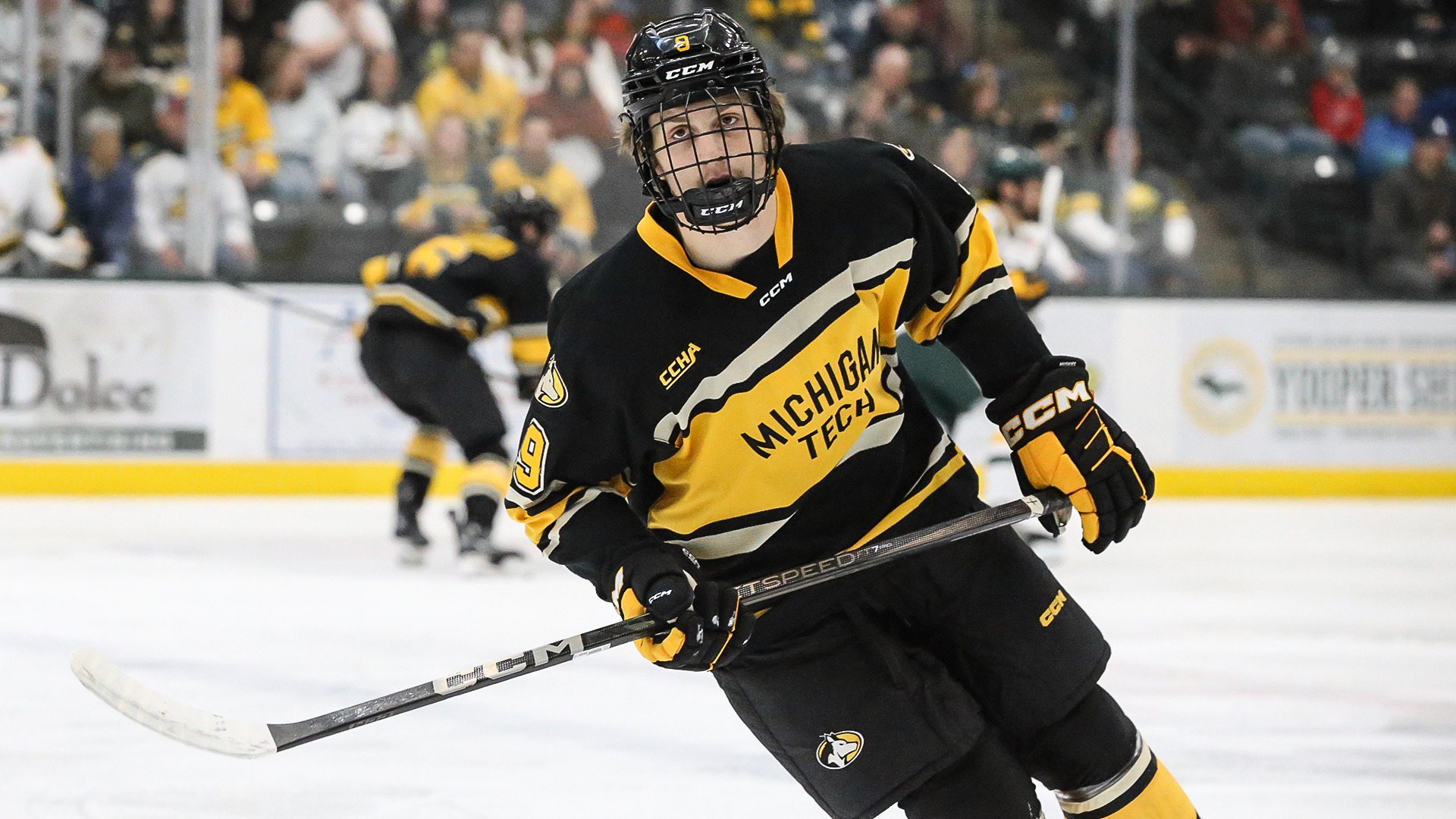 Hockey schedule update: Tech will host Alaska to begin regular season ...