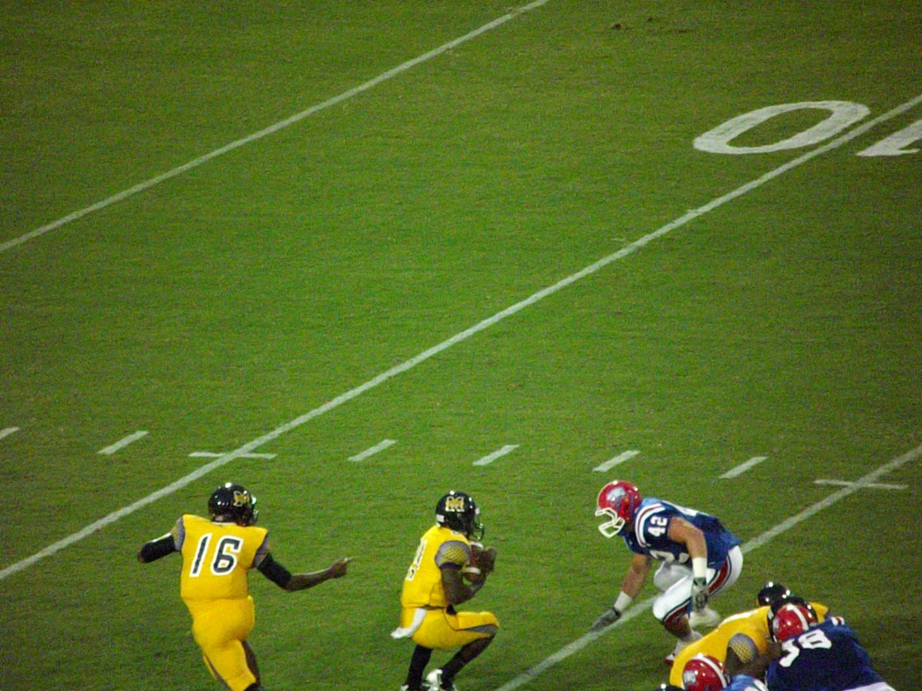 Jordan Lewis - Football - Miles College Athletics