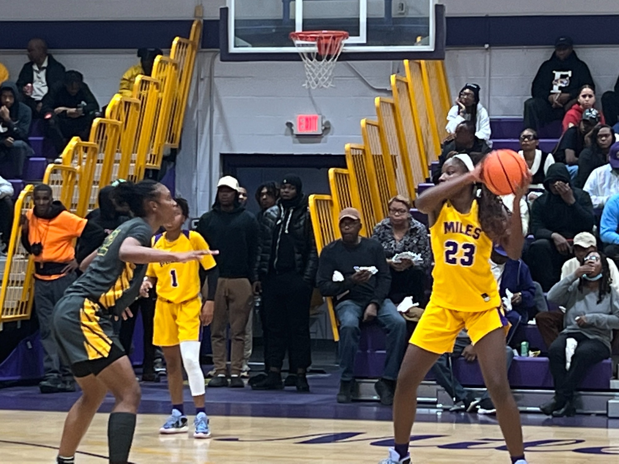 Dereseia Randle - Women's Basketball - Miles College Athletics