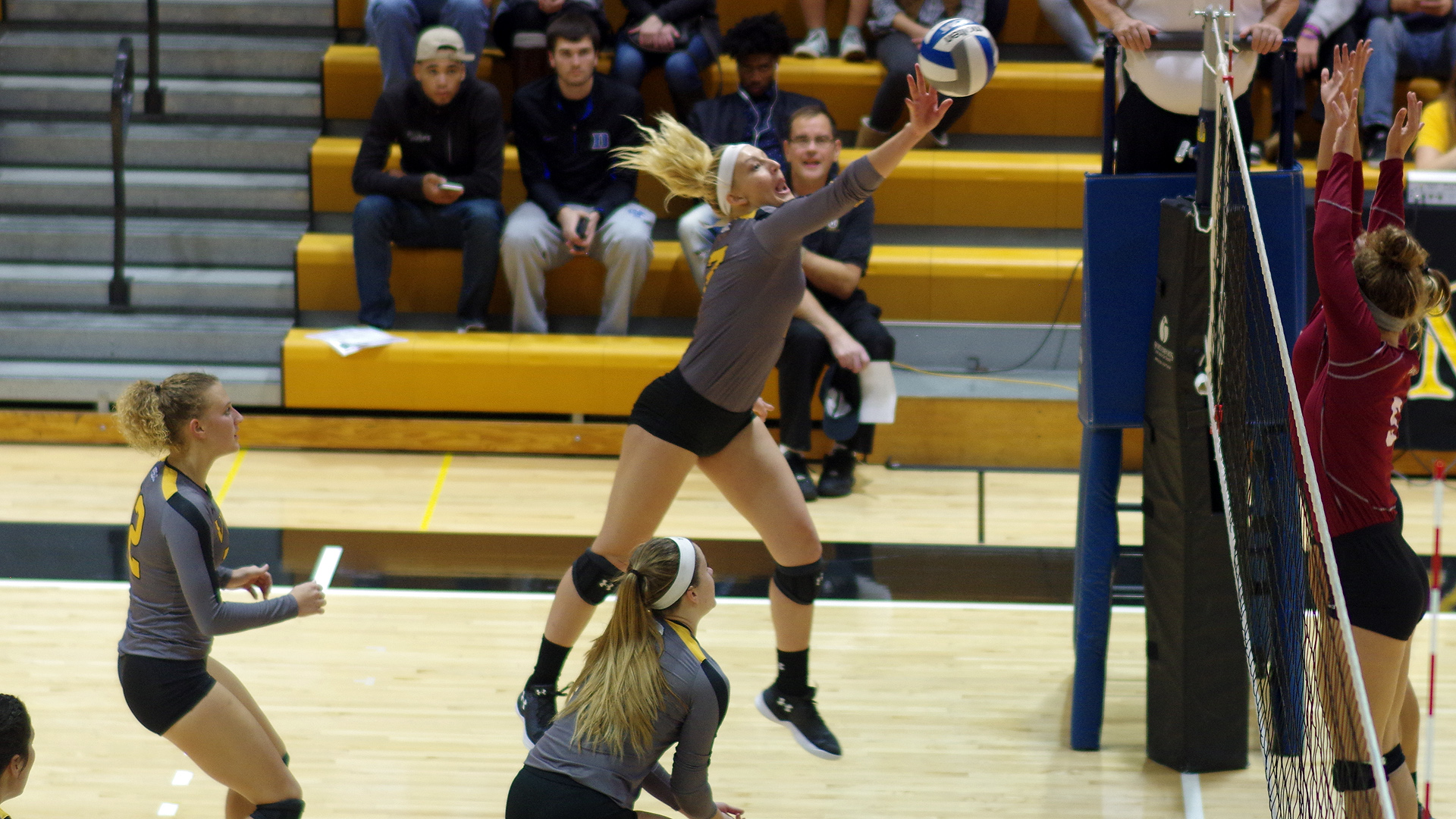 Lindsey Blevins - Women's Volleyball - Millersville