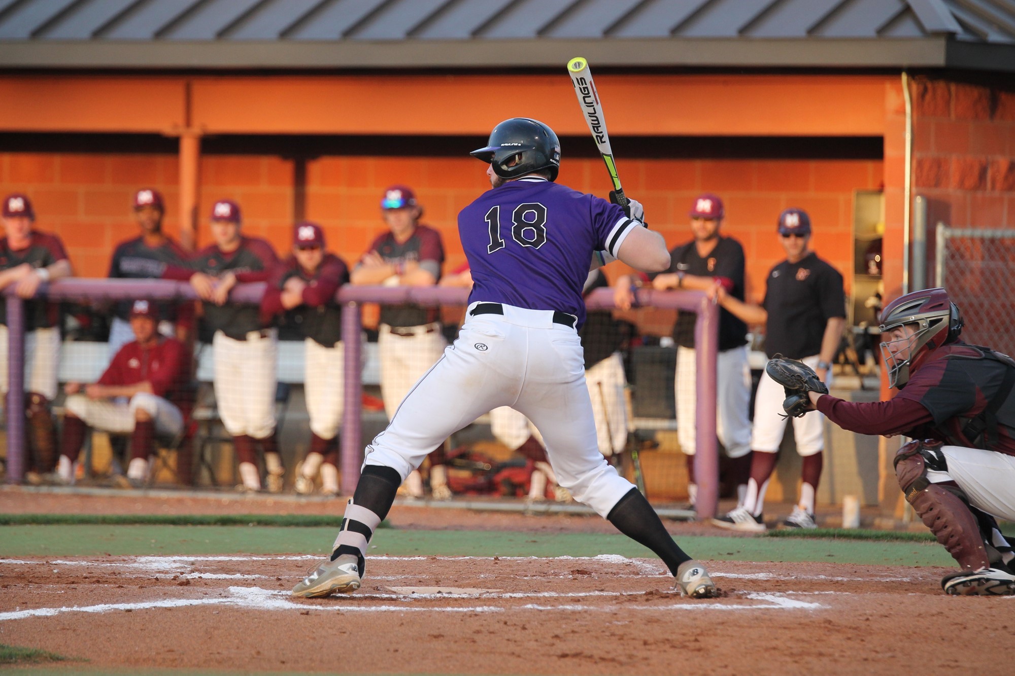Lee Ogletree - Baseball - Millsaps College Athletics
