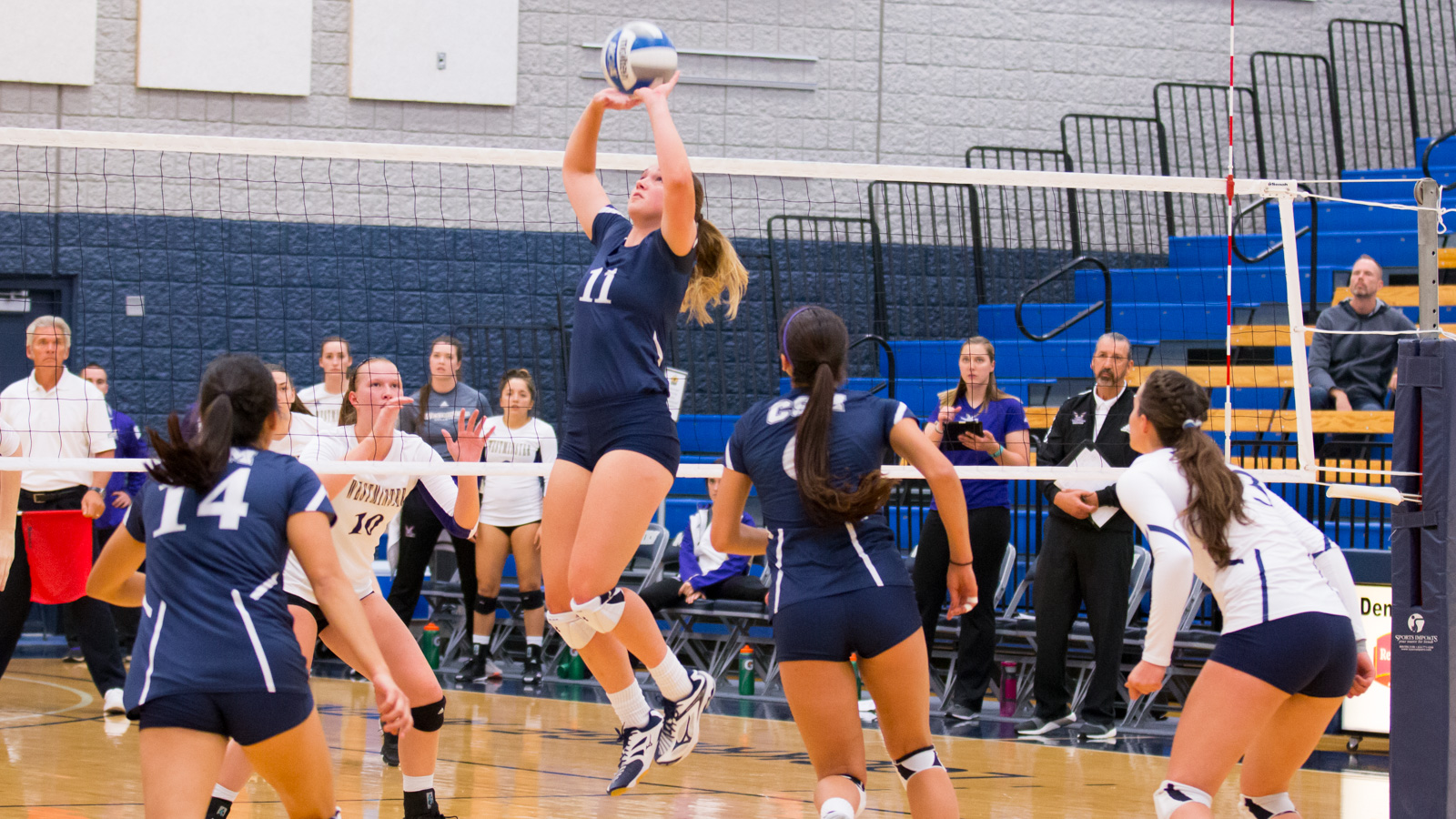 Delaney Duis - Women's Volleyball - Colorado School of Mines Athletics