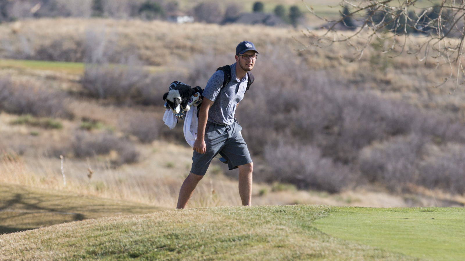 Tyler Quast - Men's Golf - Colorado School of Mines Athletics