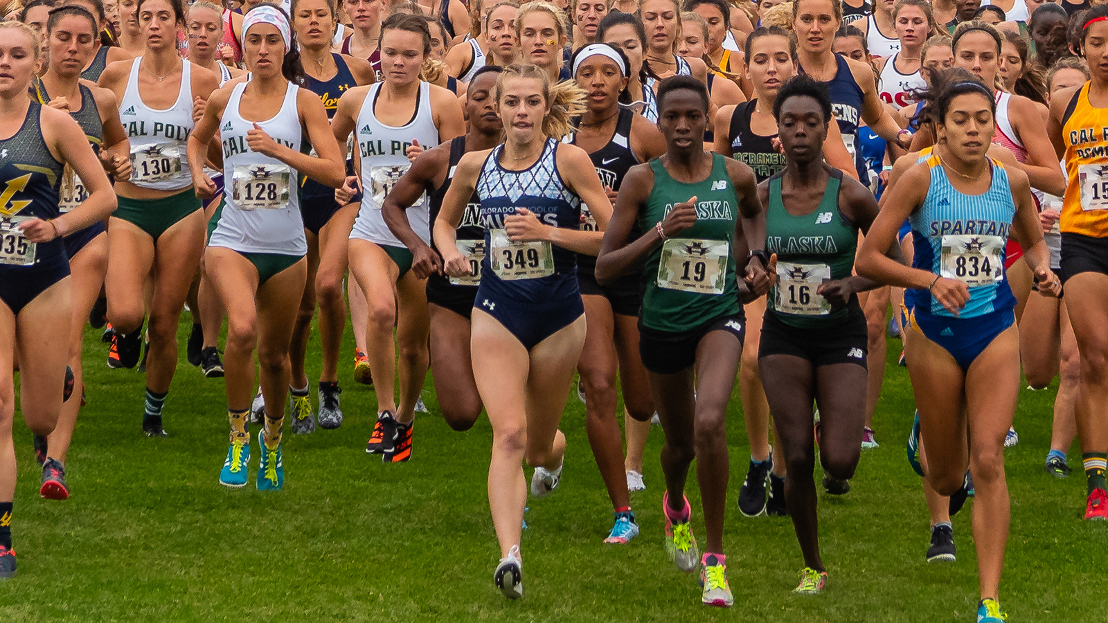 Chloe Cook - Cross Country - Colorado School of Mines Athletics