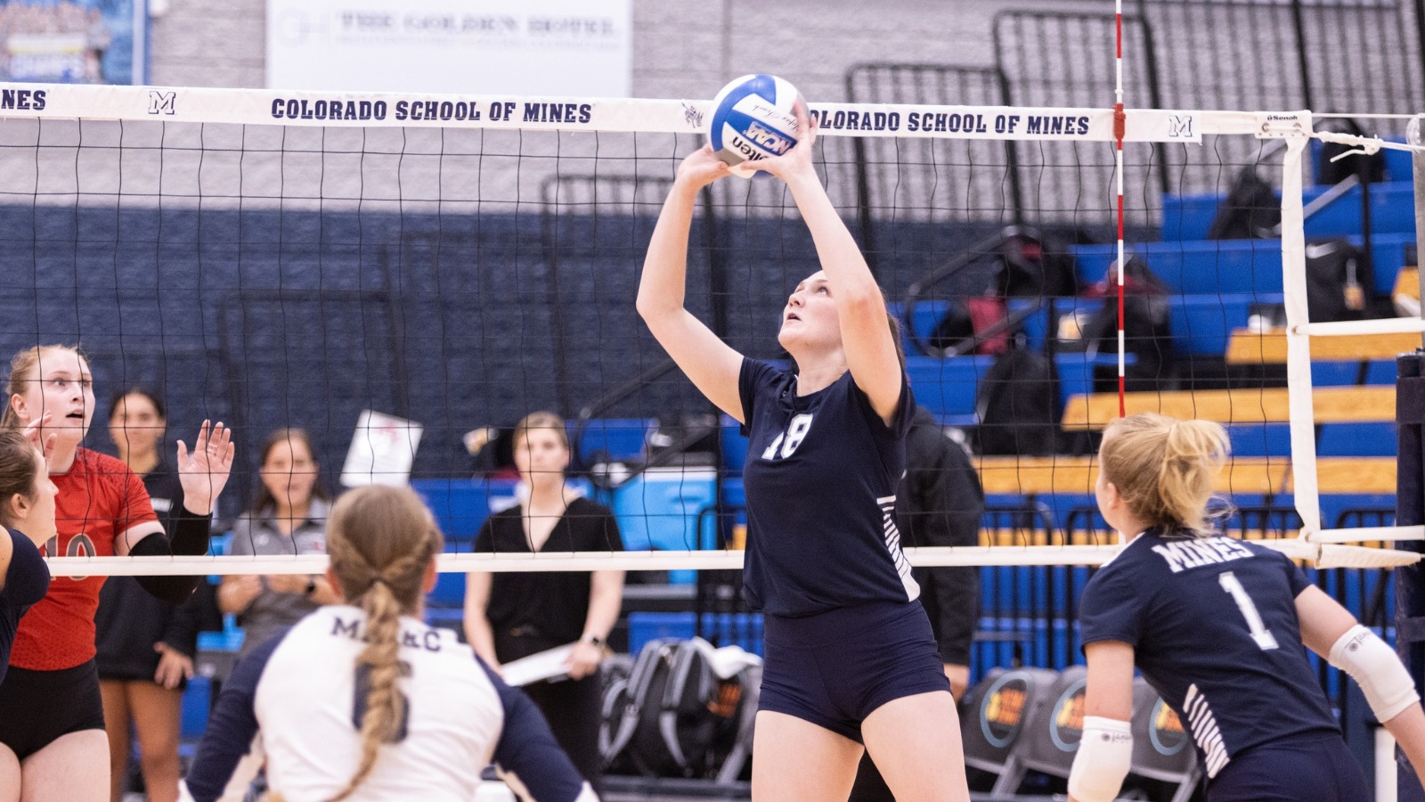 Drew Stokes - Women's Volleyball - Colorado School of Mines Athletics